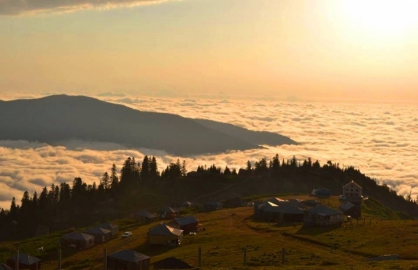 Why Guria should be on a tourist map - Photos of the Day - Travel in ...